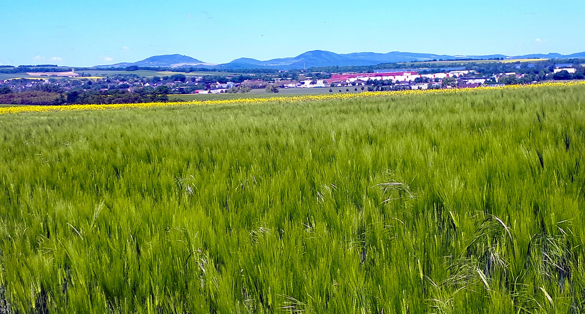 Wanderung Cochem: 5 tolle Touren für deinen Ausflug oder Urlaub