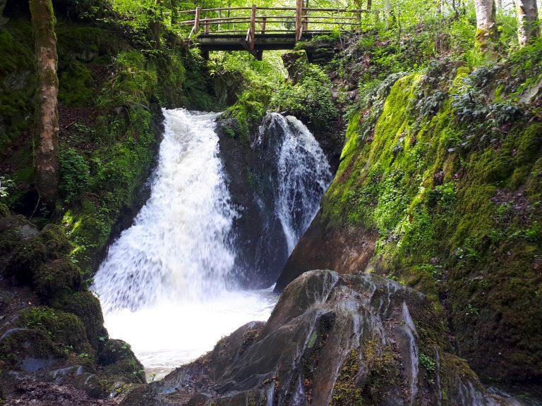 Wanderung Cochem: 5 tolle Touren für deinen Ausflug oder Urlaub